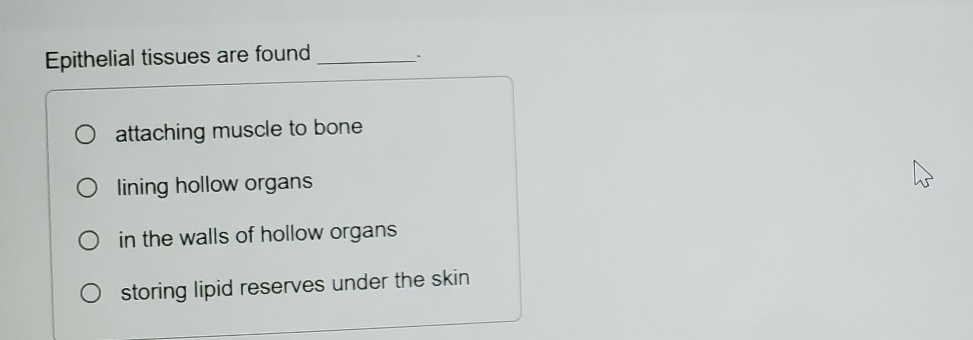 Solved Epithelial tissues are foundattaching muscle to | Chegg.com