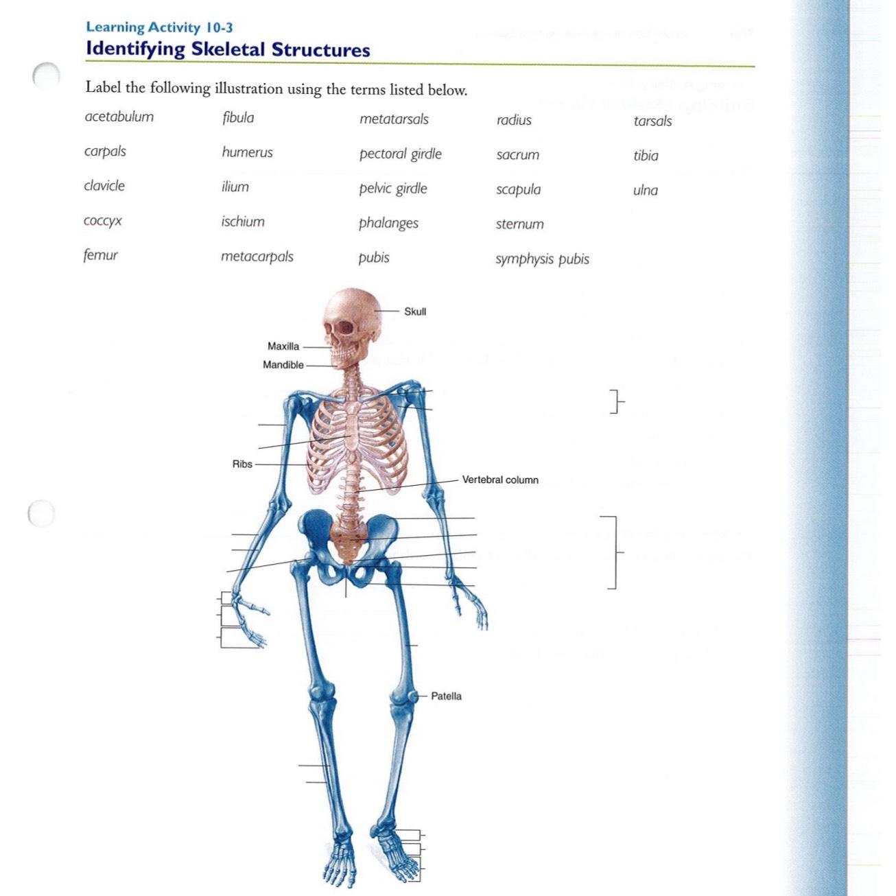 Solved Label the following illustration using the terms | Chegg.com