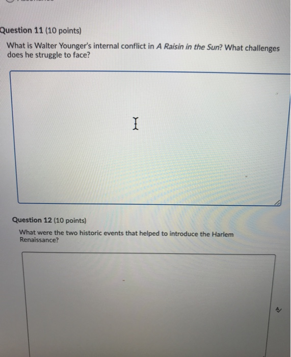 Solved Question 11 10 Points What Is Walter Youngers
