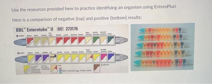 Use the resources provided here to practice | Chegg.com