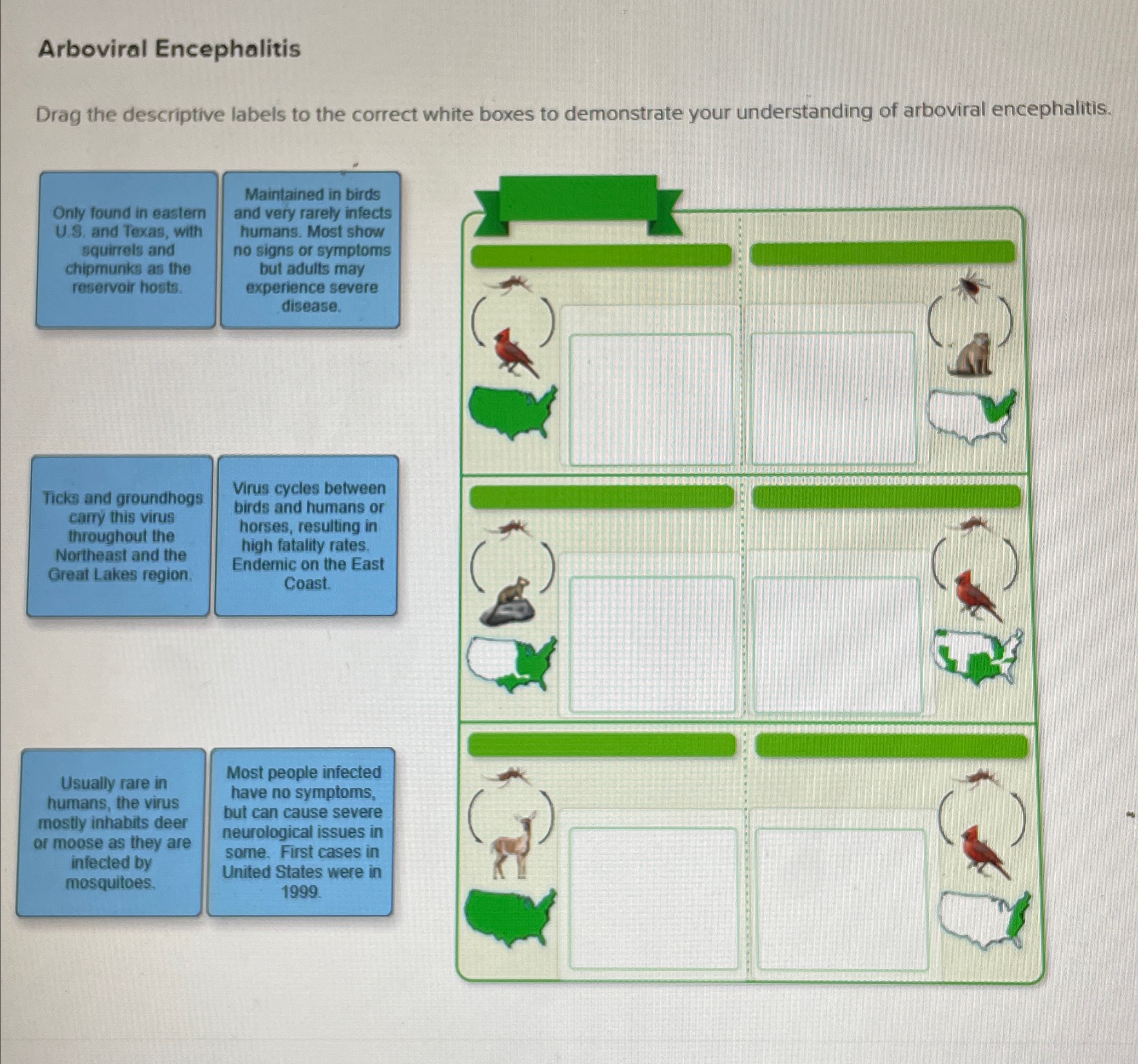 Solved Arboviral EncephalitisDrag the descriptive labels to | Chegg.com