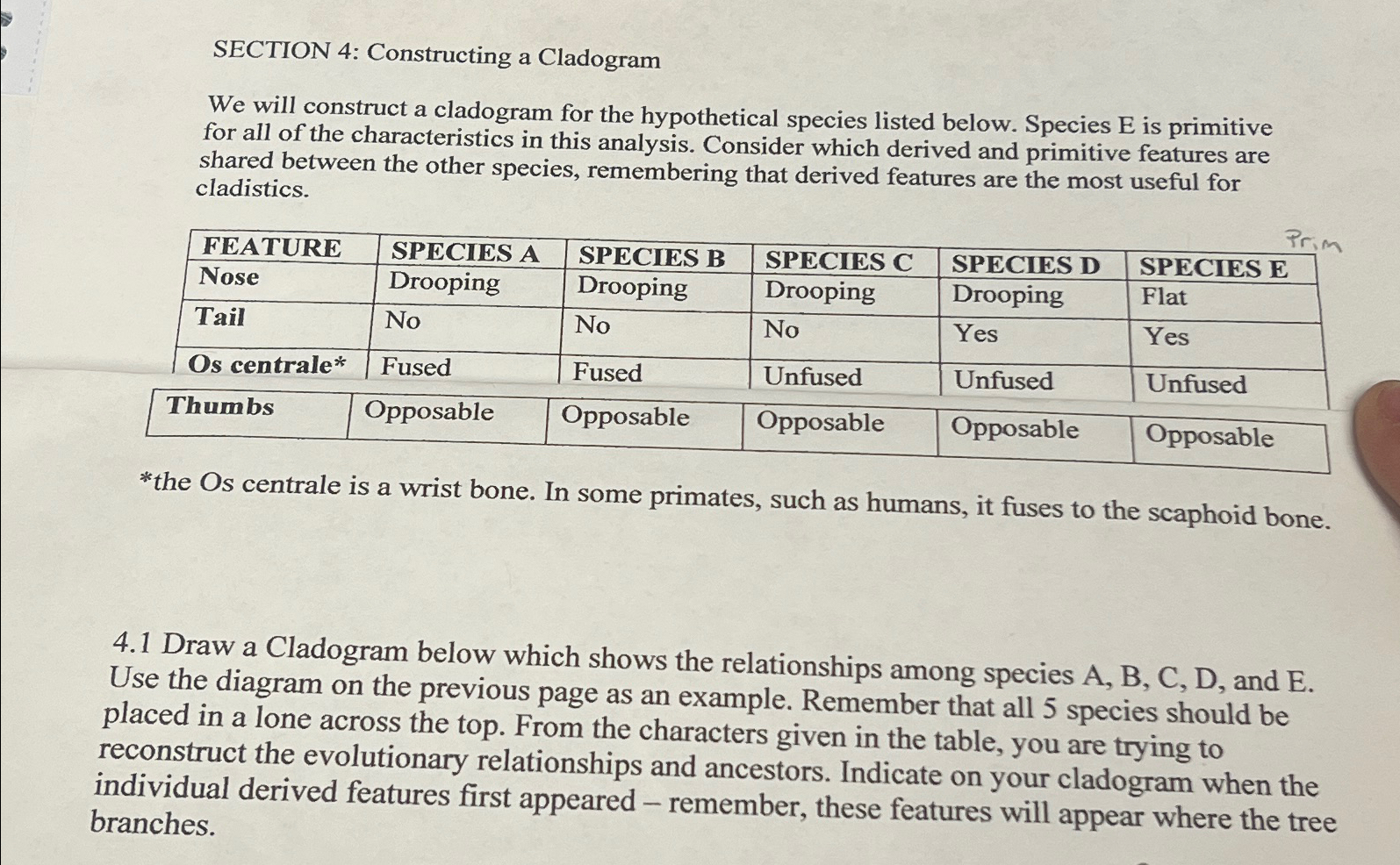 Solved SECTION 4: Constructing a CladogramWe will construct | Chegg.com