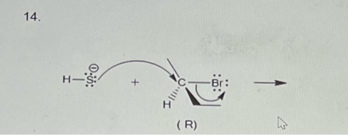 Solved 13. Which of the following species will react the | Chegg.com