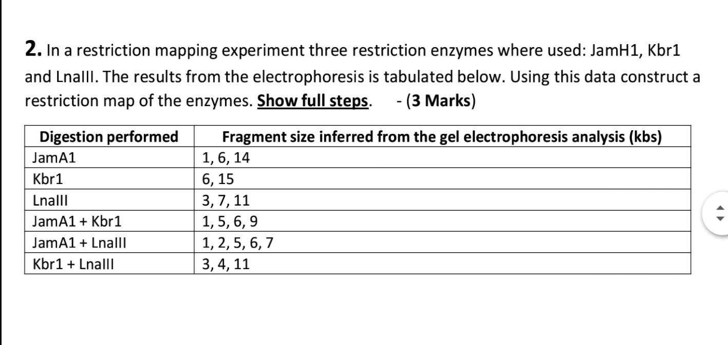 Solved Page break 2. In a restriction mapping experiment | Chegg.com
