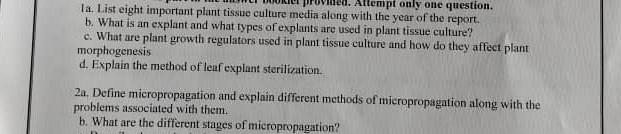 Solved lit. List eight important plant tissue culture medit | Chegg.com