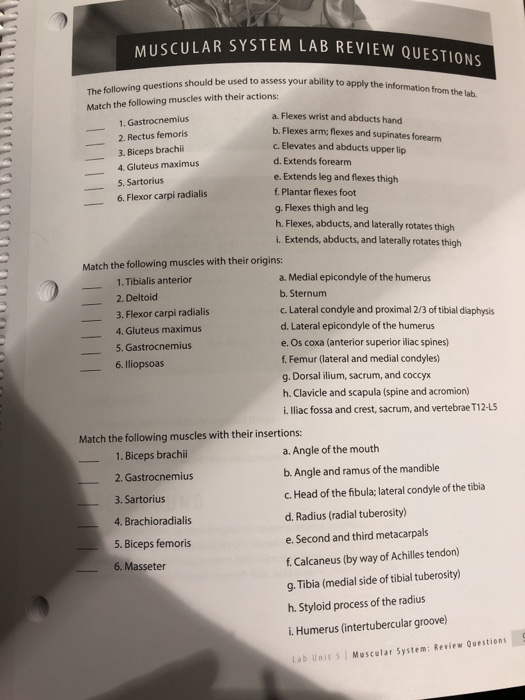 Solved LAR SYSTEM LAB REVIEW QUESTIONS MUSCULAR SYSTEM our | Chegg.com