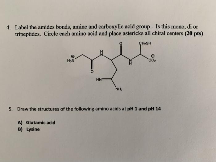 Solved 4. Label the amides bonds, amine and carboxylic acid | Chegg.com