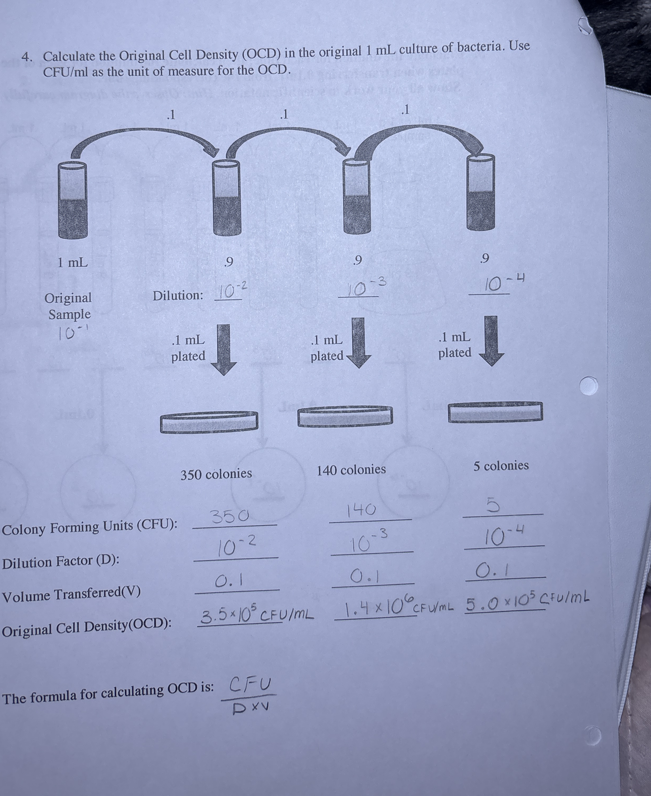 Solved Calculate the Original Cell Density (OCD) ﻿in the | Chegg.com
