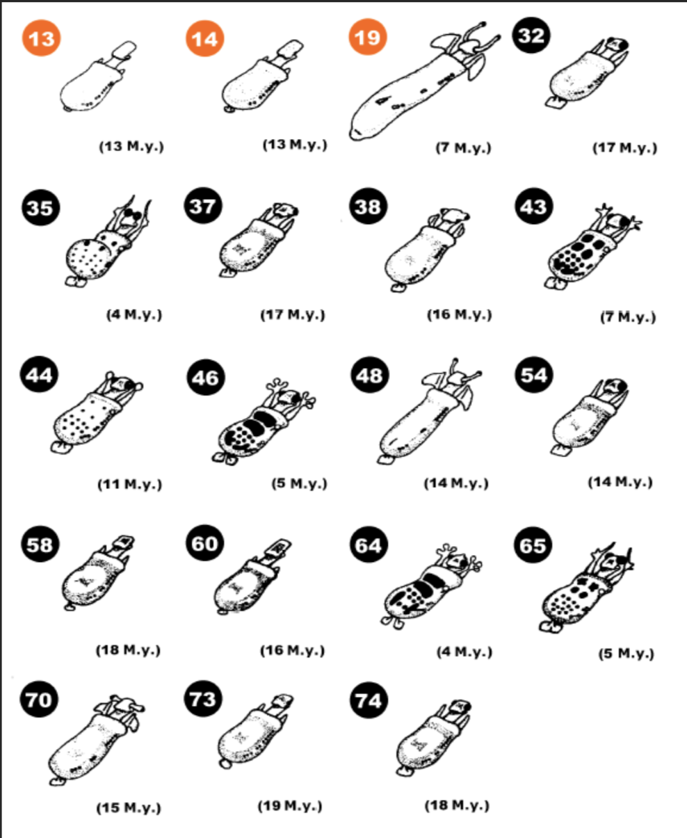 Solved Once you've created your classification scheme, | Chegg.com