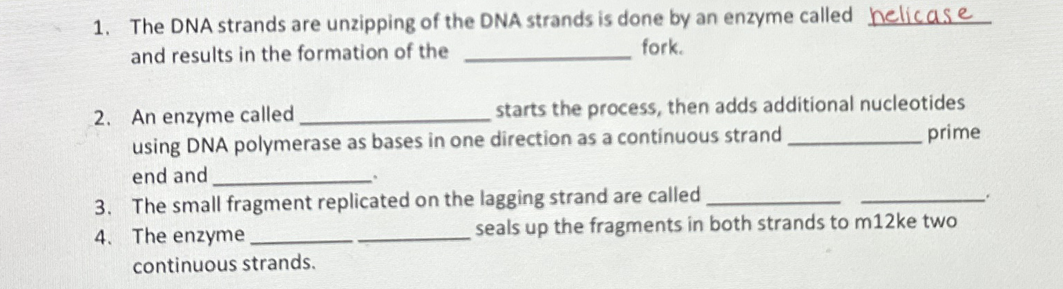 Solved The DNA strands are unzipping of the DNA strands is | Chegg.com