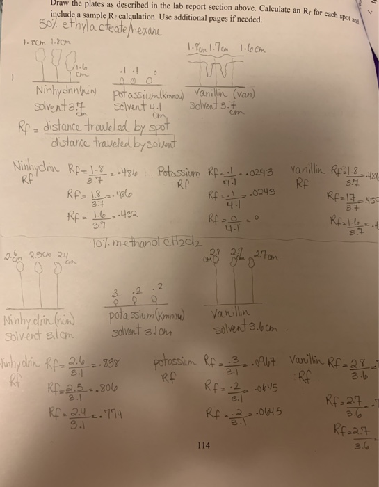 Solved Redraw each table in the results section and sketch | Chegg.com