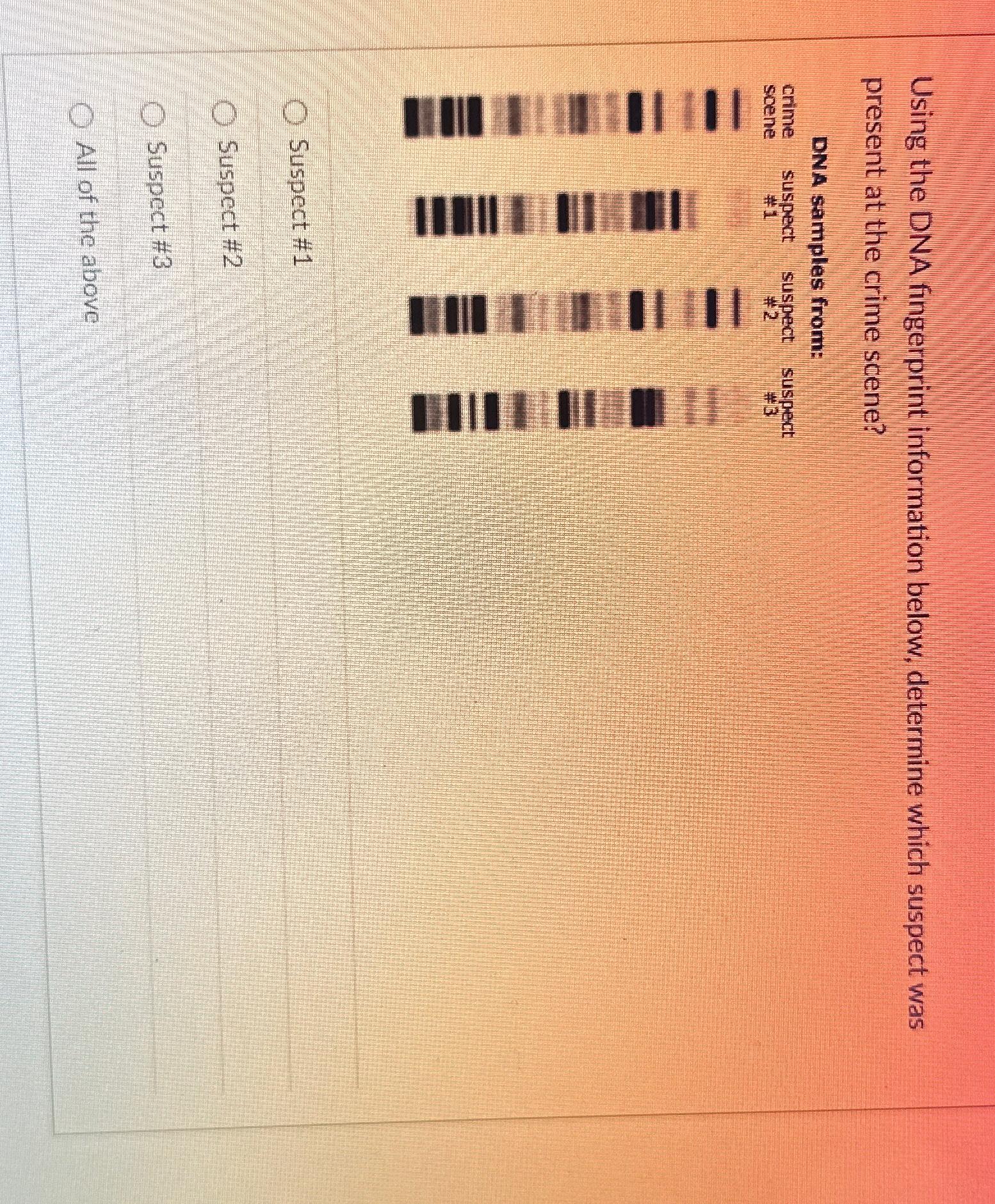 Solved Using the DNA fingerprint information below, | Chegg.com