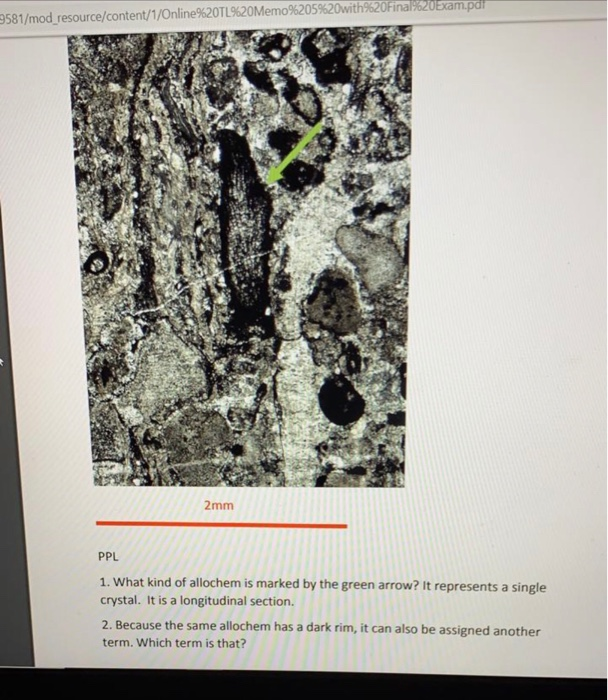 Solved Question | Chegg.com