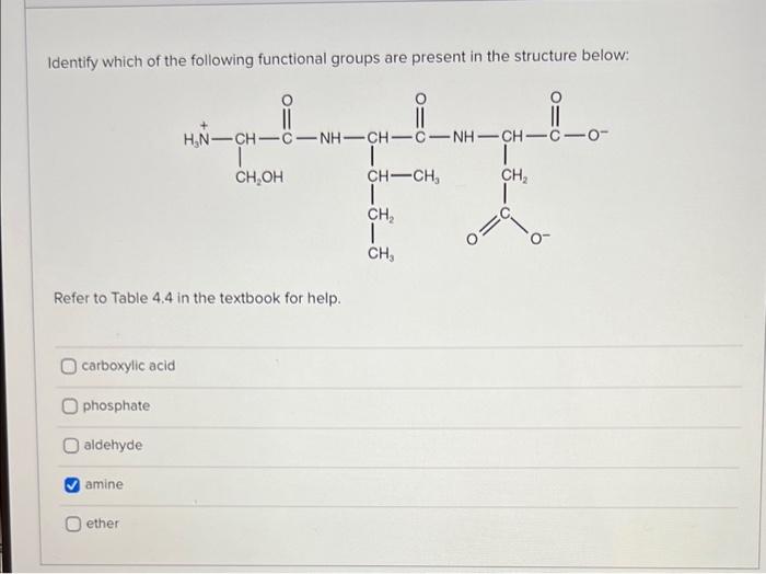 Solved Name the following peptide by its one-letter | Chegg.com