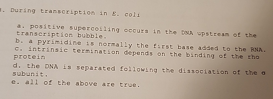 Solved During transcription in E. ﻿colia. ﻿positive | Chegg.com