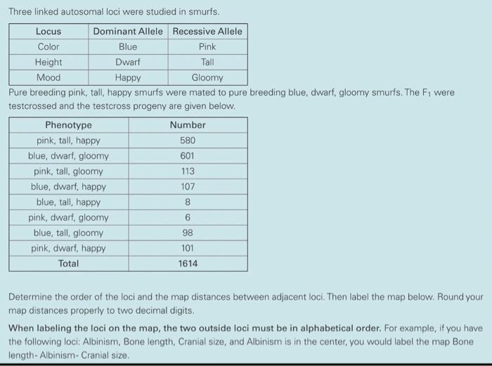Solved Three linked autosomal loci were studied in smurfs. | Chegg.com