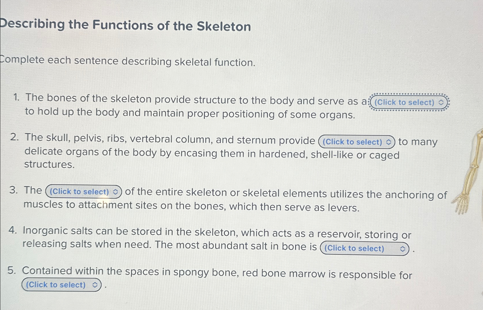 Solved Describing the Functions of the SkeletonComplete each | Chegg.com