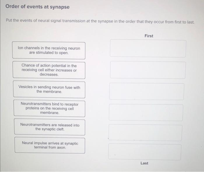 Solved Order of events at synapse Put the events of neural | Chegg.com