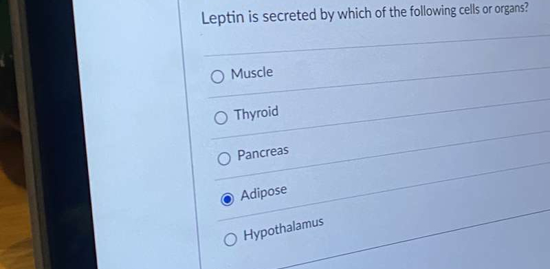 Solved Leptin is secreted by which of the following cells or | Chegg.com