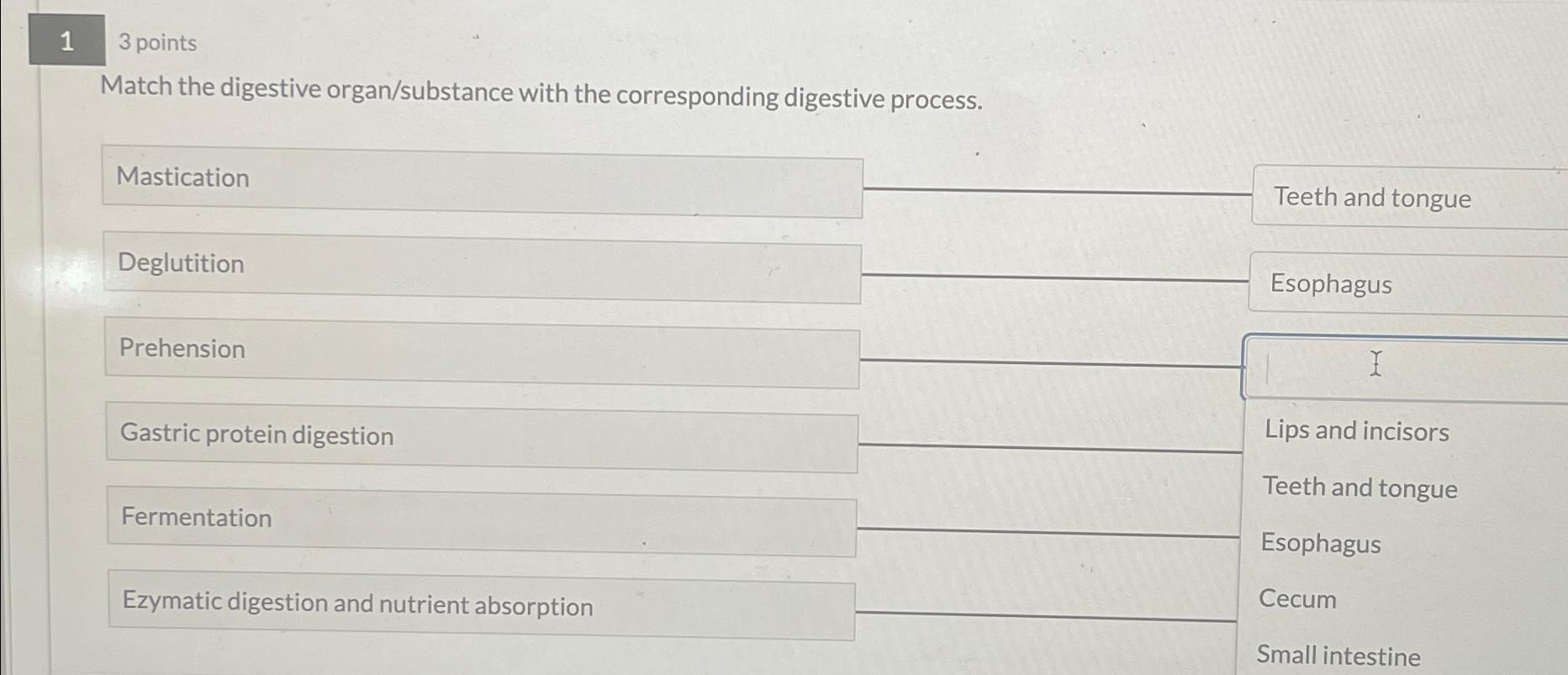Solved Match the digestive organ/substance with the | Chegg.com