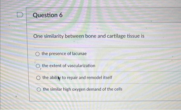 Solved One similarity between bone and cartilage tissue is | Chegg.com