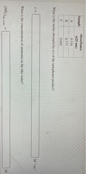 Solved Treatment of ammonia with phenol in the presence of | Chegg.com
