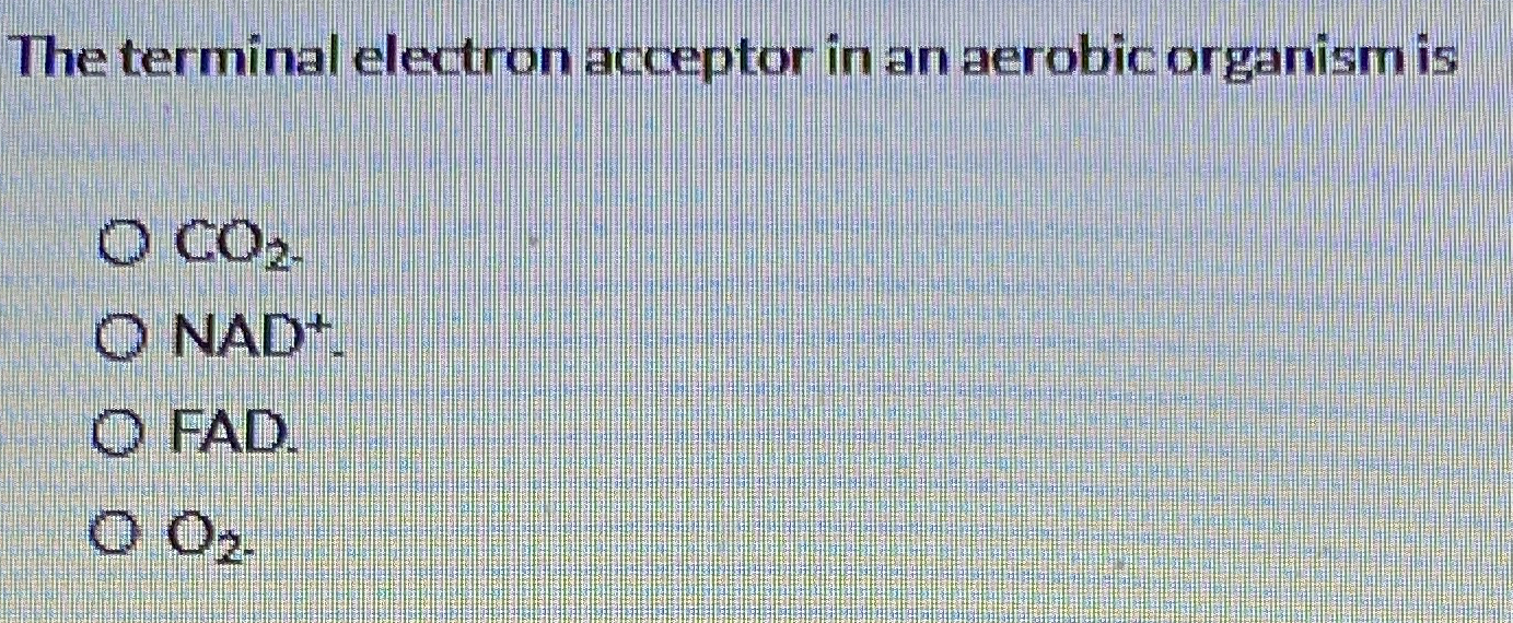 Solved The terminal electron acceptor in an aerobic organism | Chegg.com