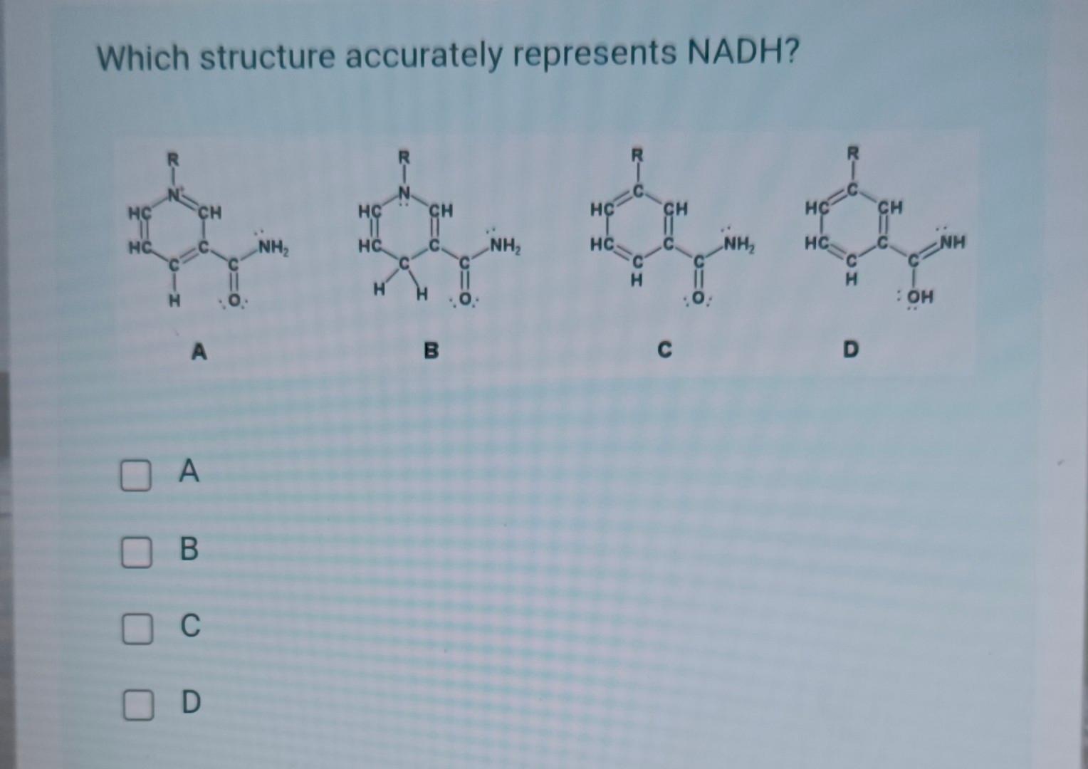 Solved Which structure accurately represents NADH ? A B C D | Chegg.com