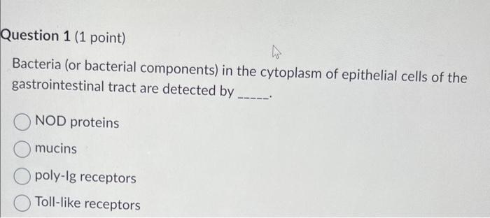 Solved Bacteria (or bacterial components) in the cytoplasm | Chegg.com
