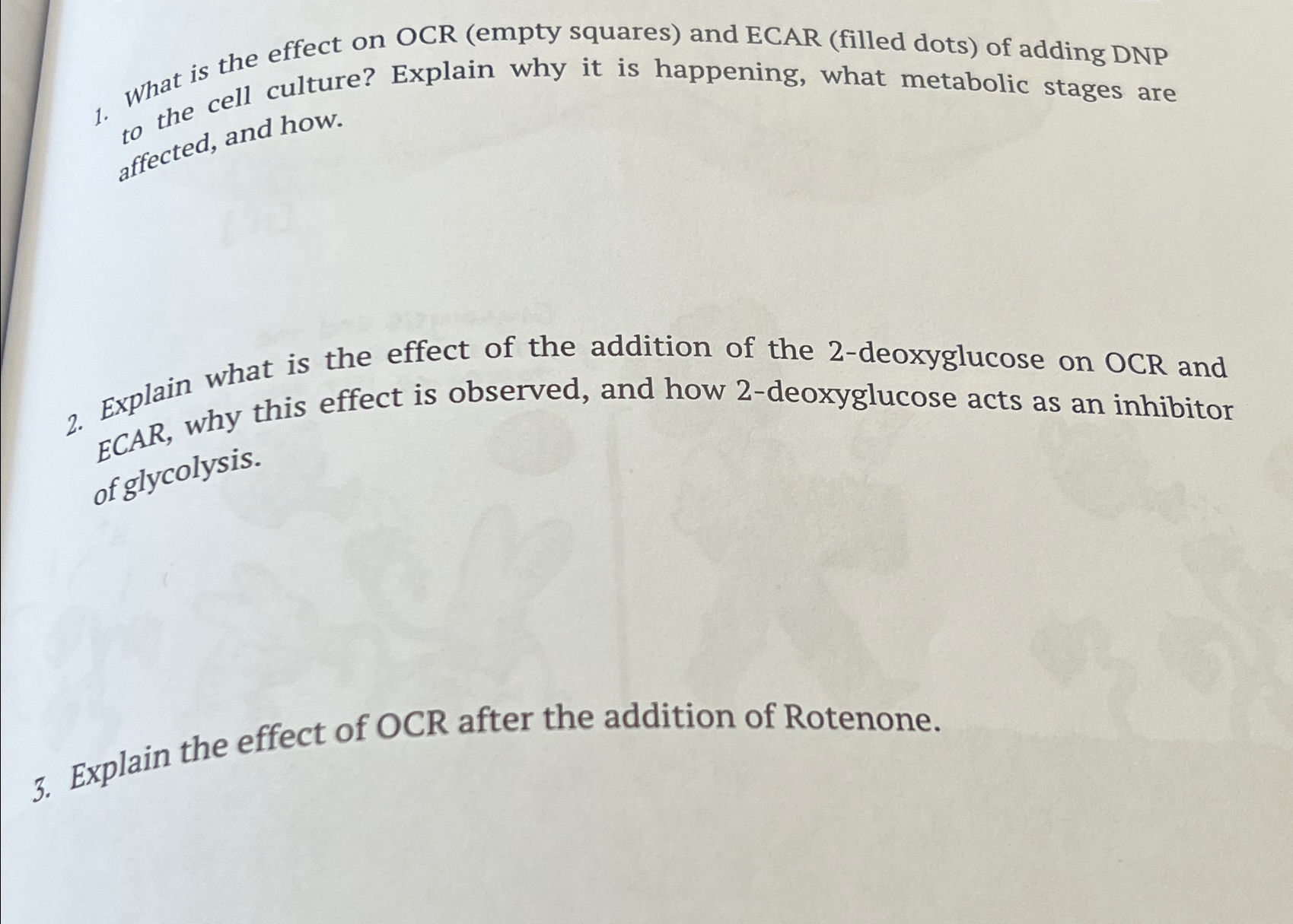Solved What is the effect on OCR (empty squares) ﻿and ECAR | Chegg.com