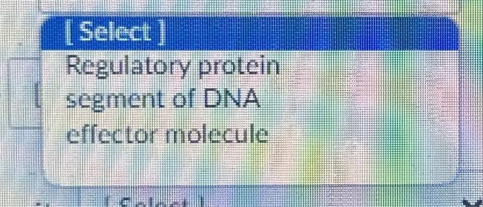 Solved Transcriptional regulation often involves a | Chegg.com