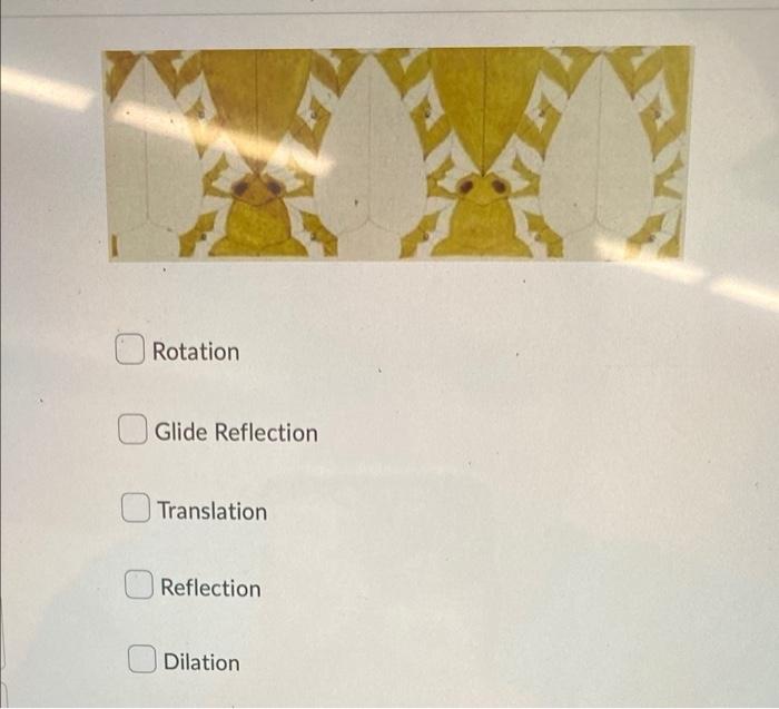 Solved What transformations are illustrated by the picture? | Chegg.com