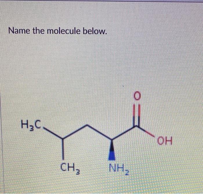 Solved Name the molecule below. Hac OH CH, NH2 | Chegg.com