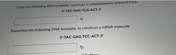 Solved Using the following DNA template, construct a | Chegg.com