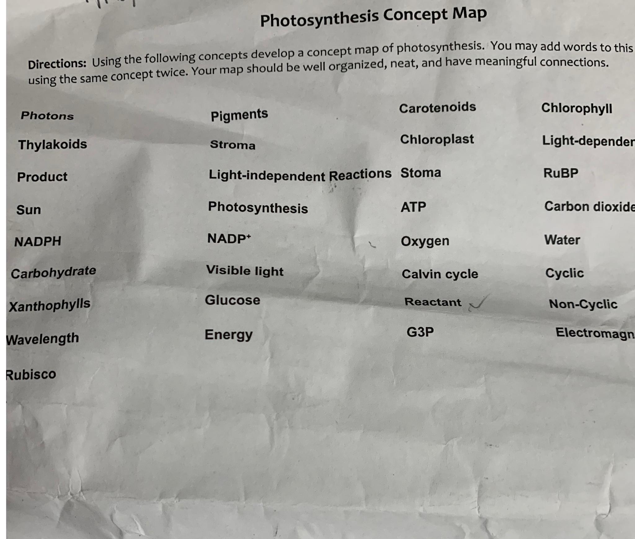 Solved Photosynthesis Concept MapDirections: Using the | Chegg.com
