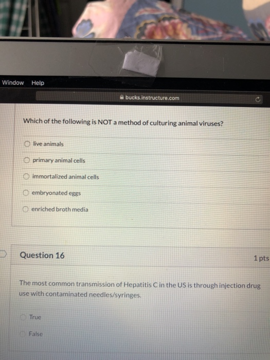Solved Window Help bucks.instructure.com Which of the | Chegg.com