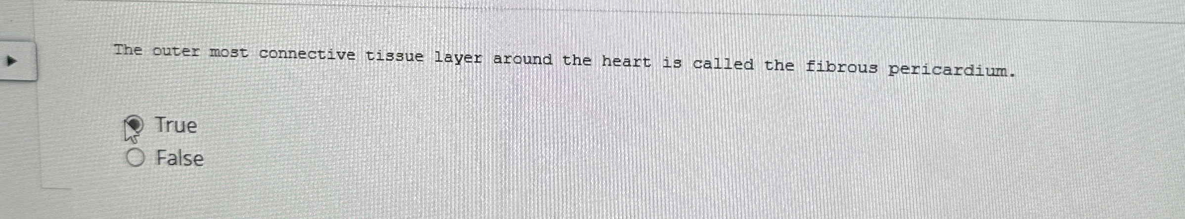 Solved The outer most connective tissue layer around the | Chegg.com