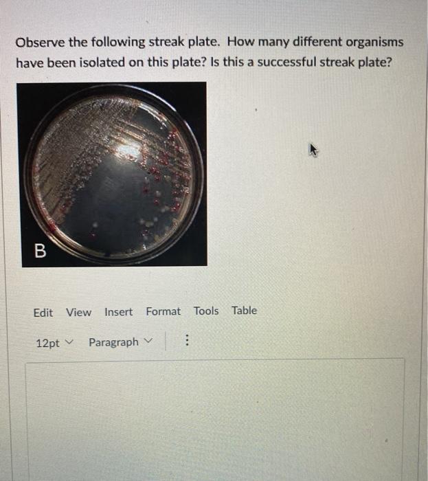 Solved Observe the following streak plate. How many | Chegg.com