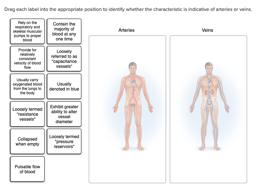 Solved Drag Each Label Into The Appropriate Position To