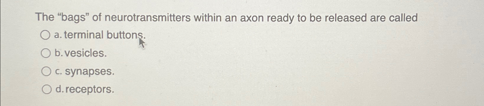 Solved The "bags" of neurotransmitters within an axon ready | Chegg.com