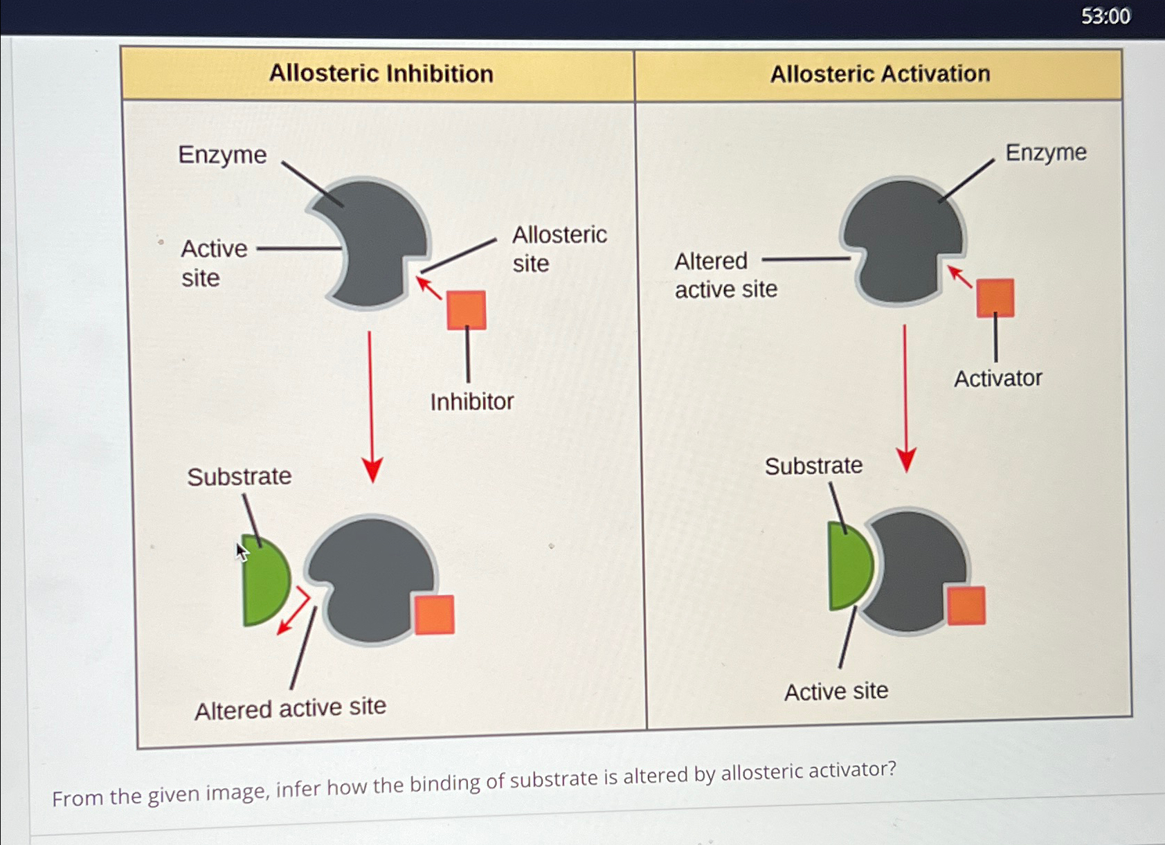 Solved 53:00From the given image, infer how the binding of | Chegg.com