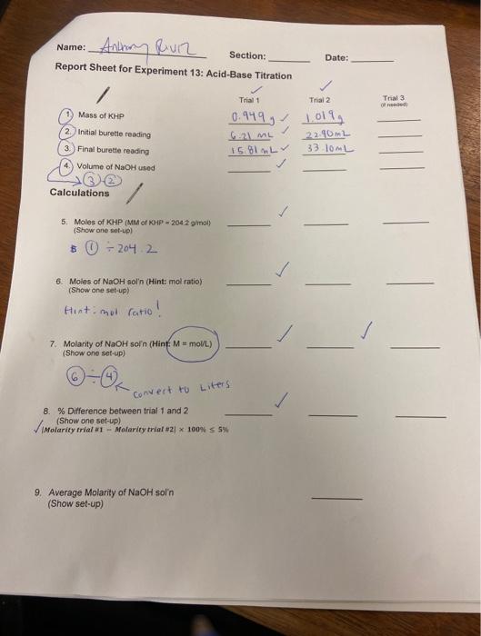 Solved Name: _Anthony Ruiz Section: Date: Report Sheet for | Chegg.com