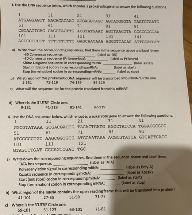 Solved 1. Use the DNA sequence below, which encodes a | Chegg.com