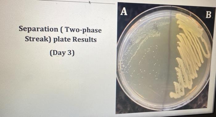 Solved Quadrant Streak Results (Day 2) A В. Separation | Chegg.com