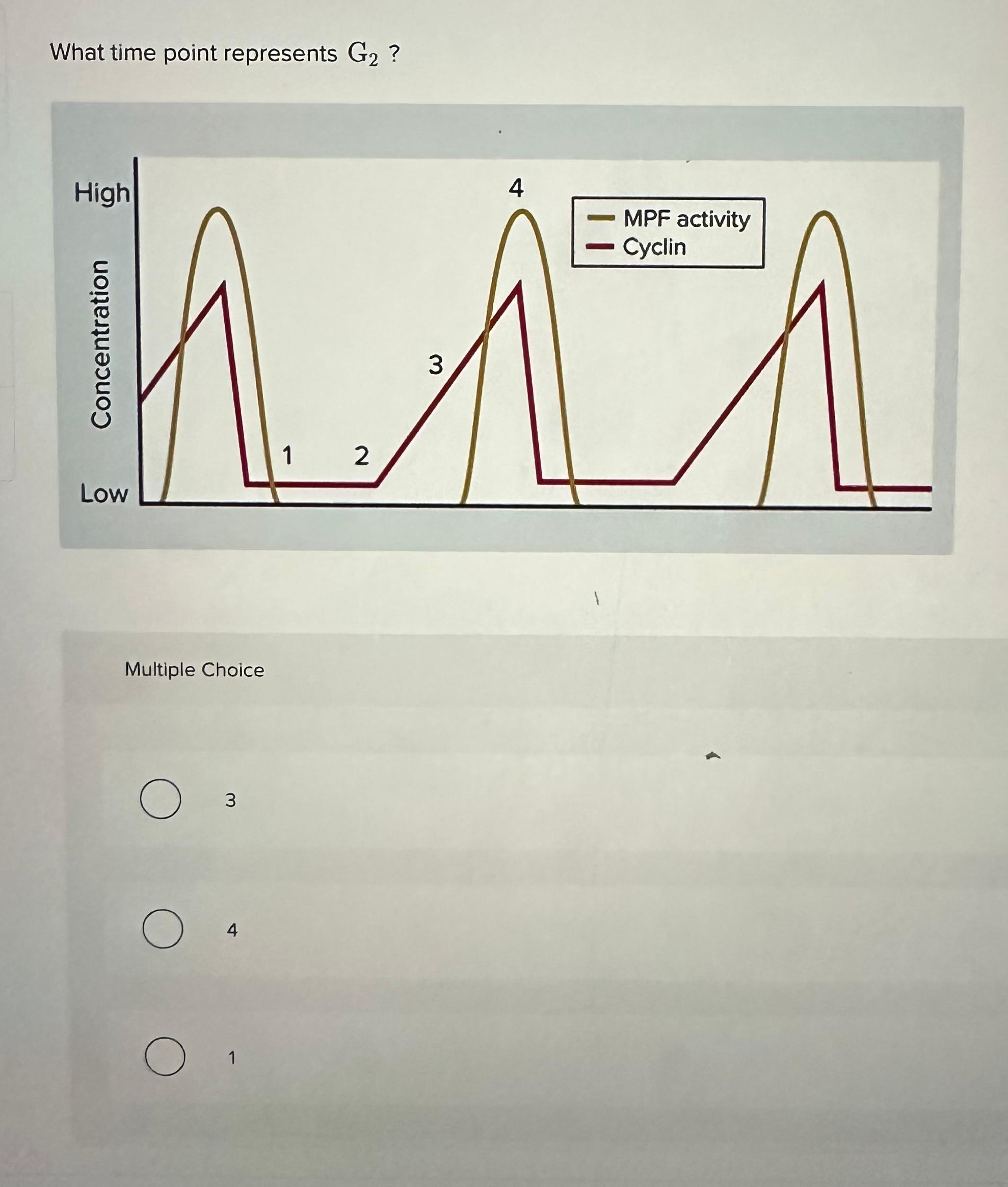 Solved What time point represents G2 ?Multiple Choice341 | Chegg.com