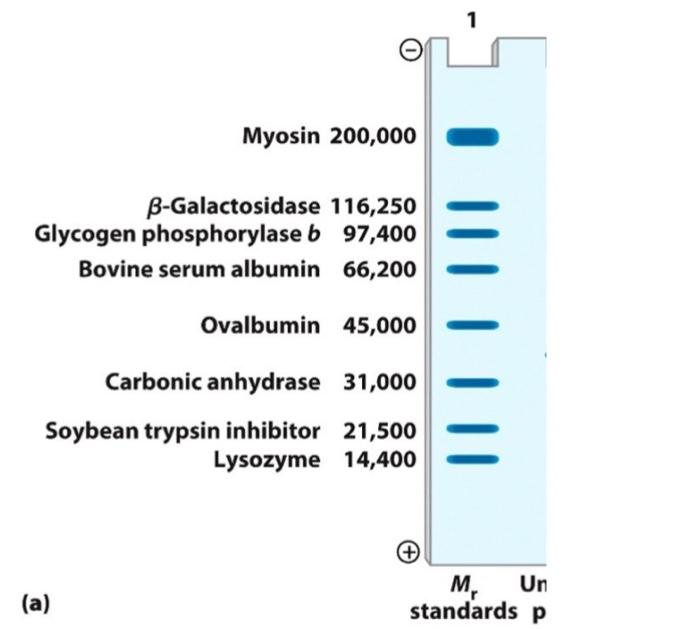 Solved 1. Propose a multi-step column chromatography method | Chegg.com