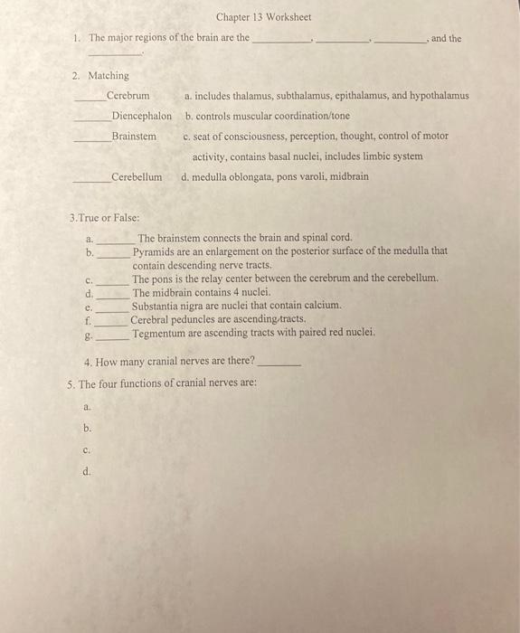 Solved Chapter 13 Worksheet 1. The major regions of the | Chegg.com