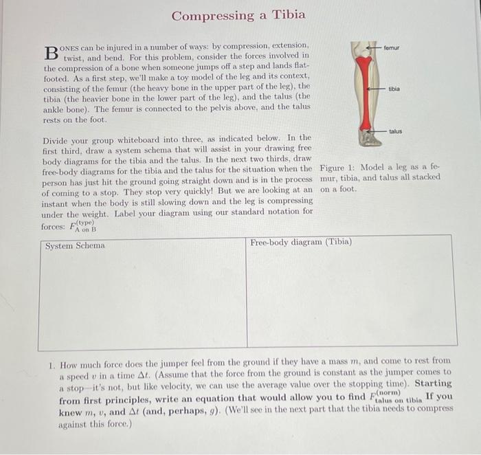 Solved Compressing a Tibia twist, and bend. For this | Chegg.com