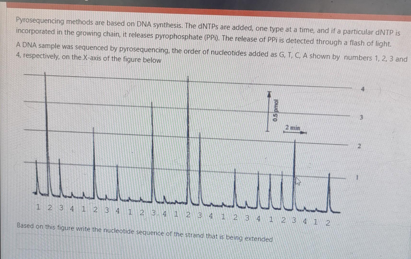 Solved Pyrosequencing methods are based on DNA synthesis. | Chegg.com