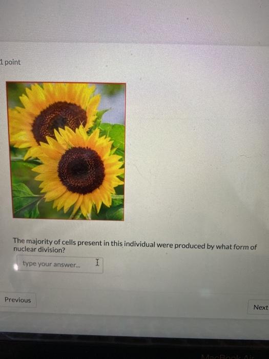 Solved 1 point The majority of cells present in this | Chegg.com